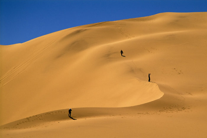 Unique Travel Experiences in Mongolia | Three Camel Lodge