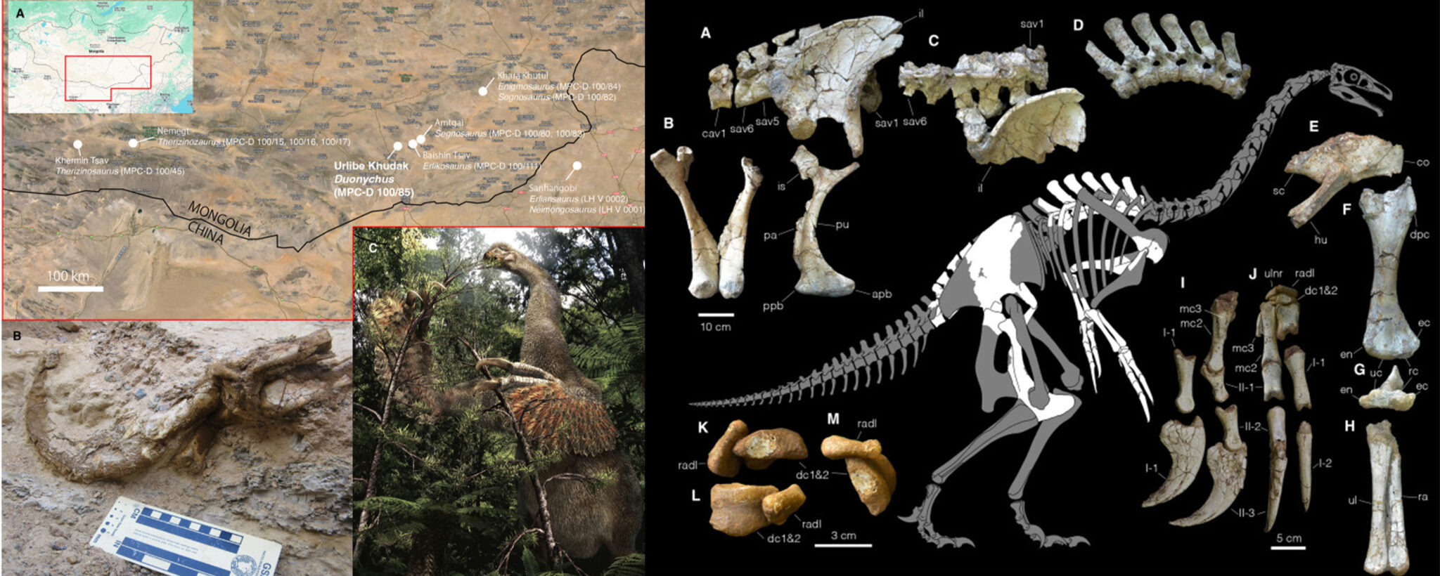 A New Chapter in the Story of Mongolia’s Ancient Giants