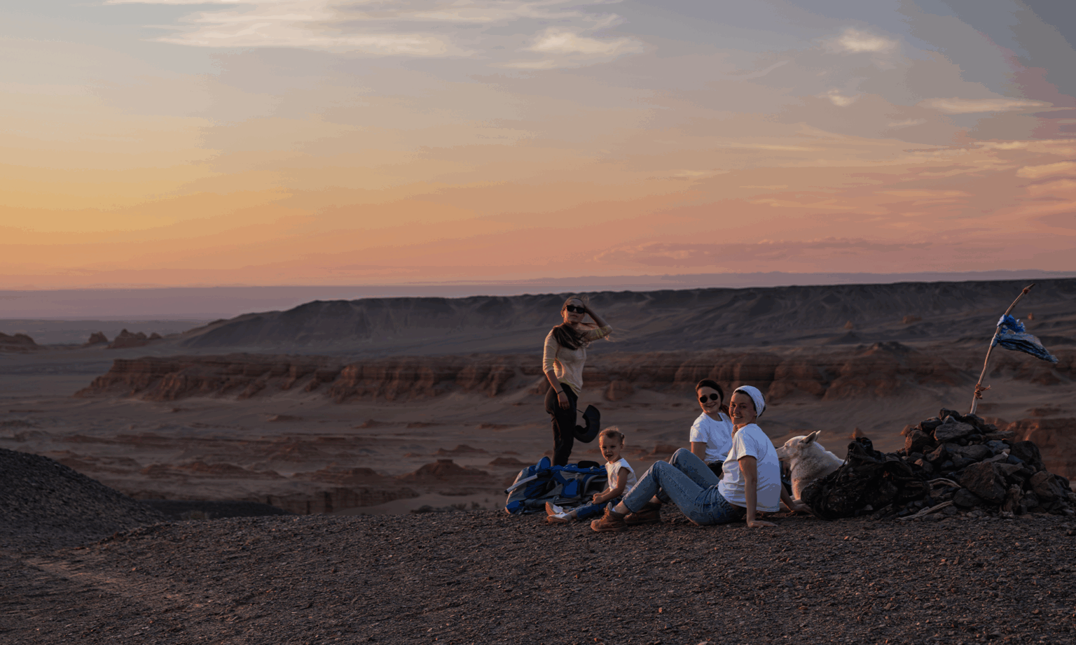 12 Amazing Animals That Define Wildlife in the Gobi - THREE CAMEL LODGE